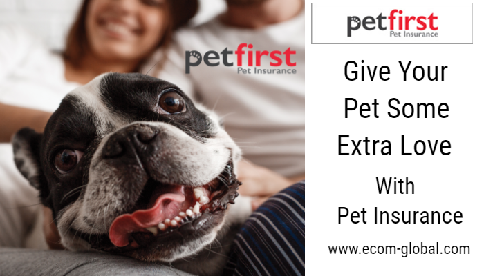Pet Insurance
